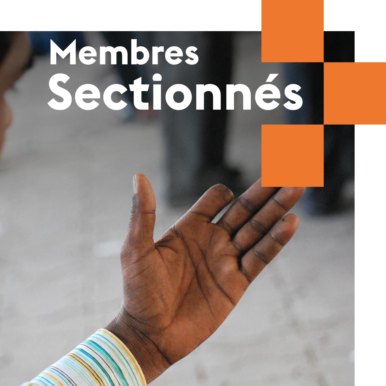 Kit Membres sectionnés pour ambulancier